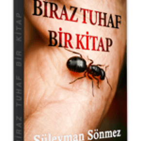 ikiden-uce-yeni-kucuk-kapak-png - Güneşin Tam İçinde