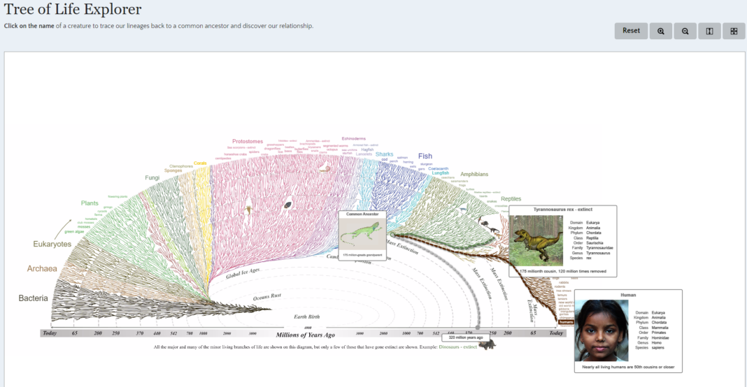 Canlılar Alemini İnteraktif Hayat Ağaçlarıyla Tanıyalım - Biyoloji ...