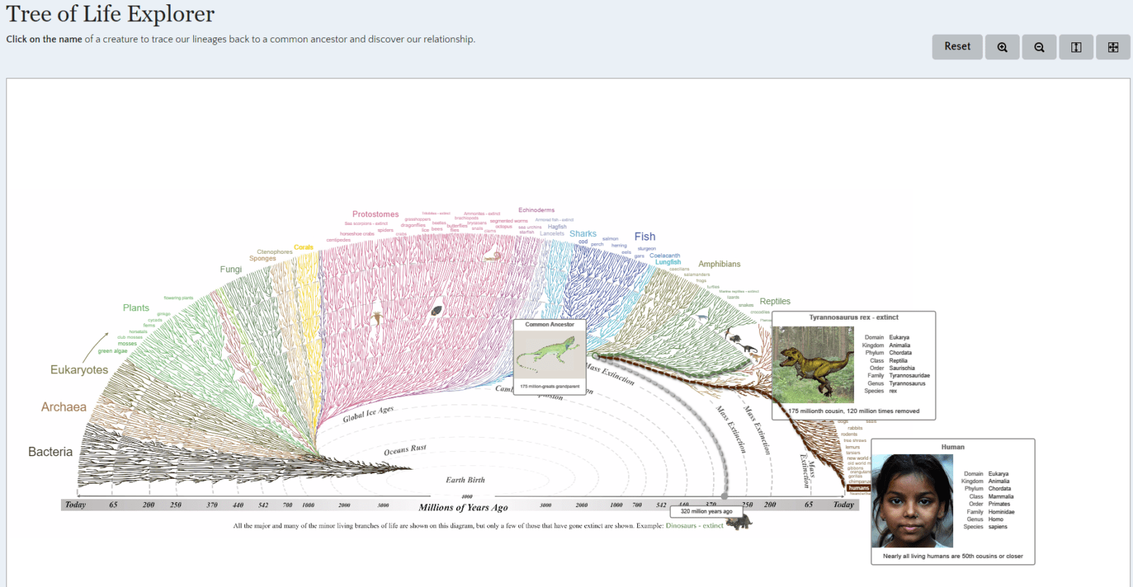Canlılar Alemini İnteraktif Hayat Ağaçlarıyla Tanıyalım - Biyoloji ...